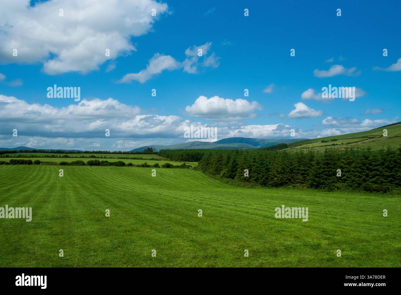 Green fields of ireland hi-res stock photography and images - Alamy