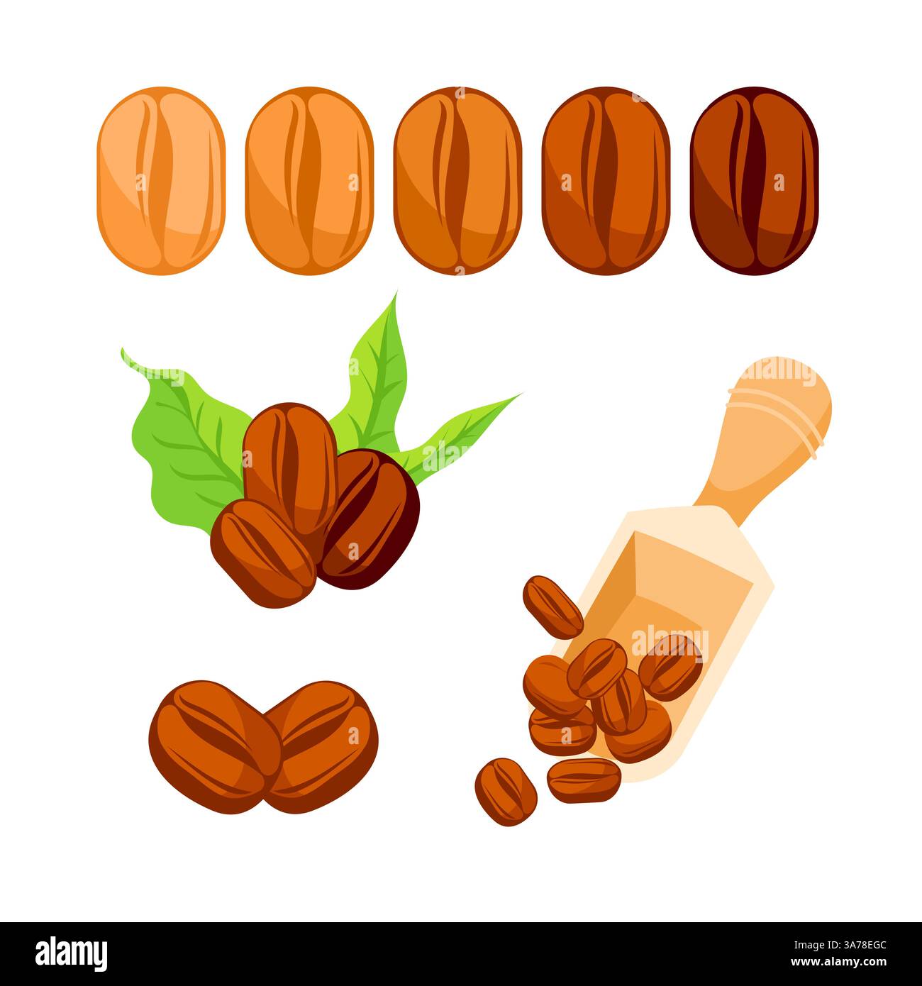 Coffee beans set. Showing various stages of roasting. Various angle for ...