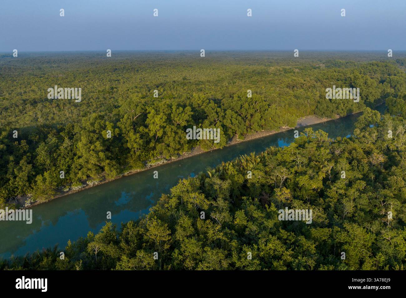 An aerial view of the Sundarbans, showcasing the world's largest ...