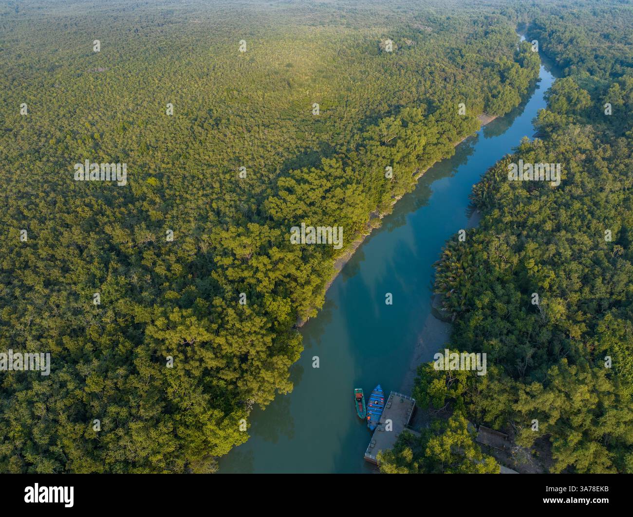 An aerial view of the Sundarbans, showcasing the world's largest ...