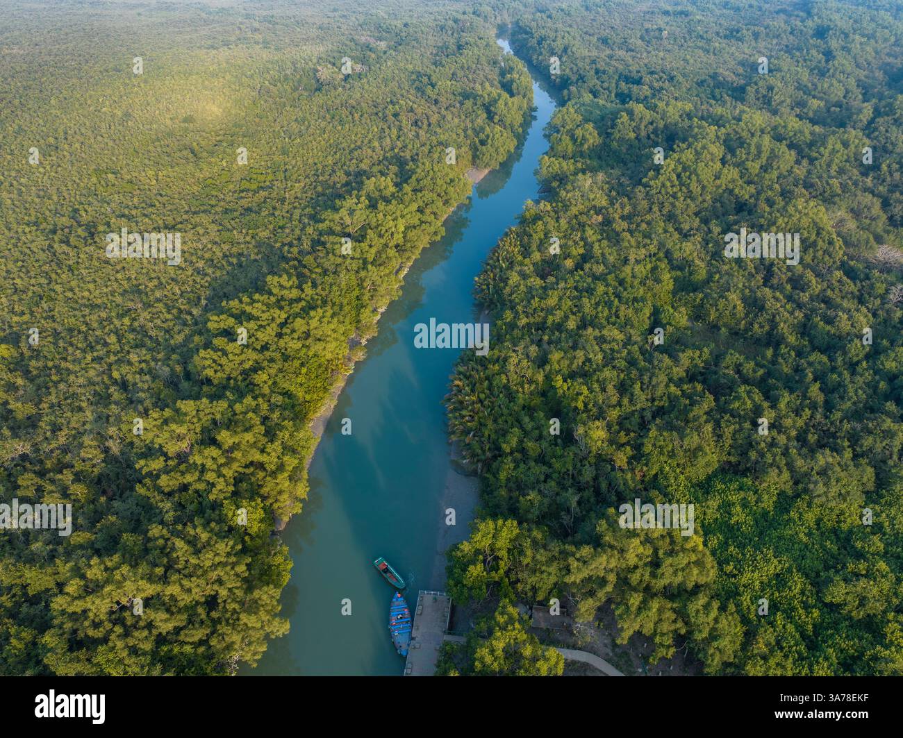 An aerial view of the Sundarbans, showcasing the world's largest ...
