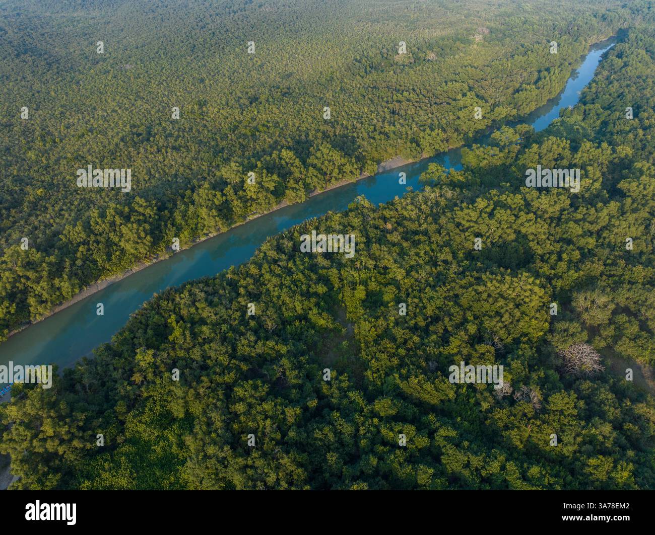 An aerial view of the Sundarbans, showcasing the world's largest ...