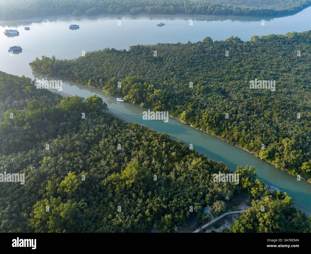 An aerial view of the Sundarbans, showcasing the world's largest ...