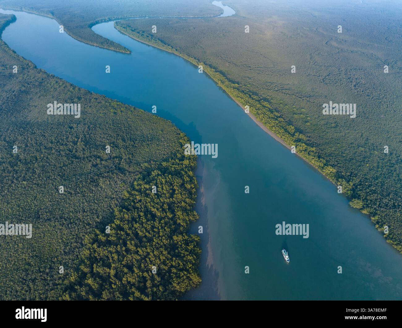 An aerial view of the Sundarbans, showcasing the world's largest ...