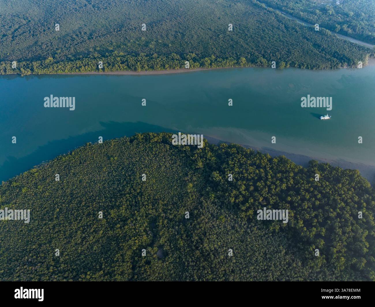 An aerial view of the Sundarbans, showcasing the world's largest ...