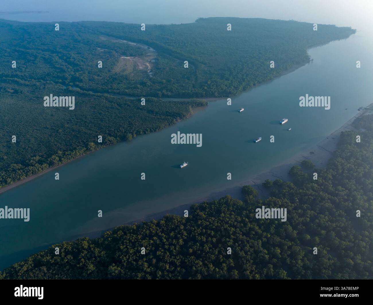 An aerial view of the Sundarbans, showcasing the world's largest ...