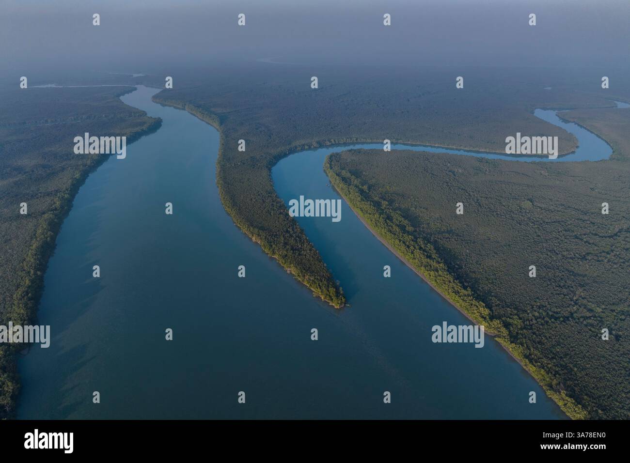 An aerial view of the Sundarbans, showcasing the world's largest ...