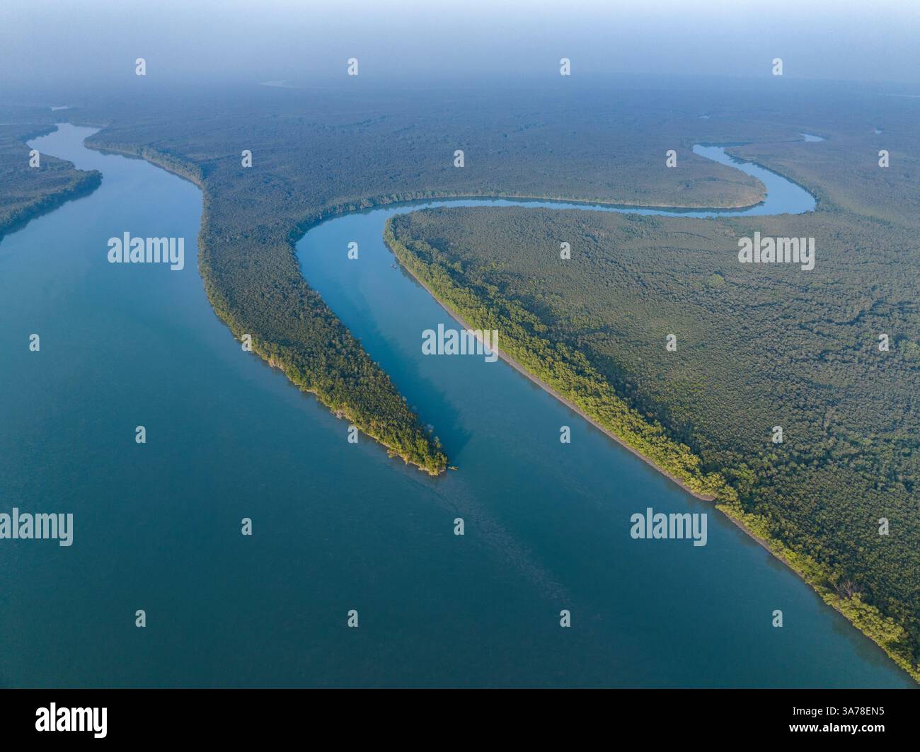 An aerial view of the Sundarbans, showcasing the world's largest ...