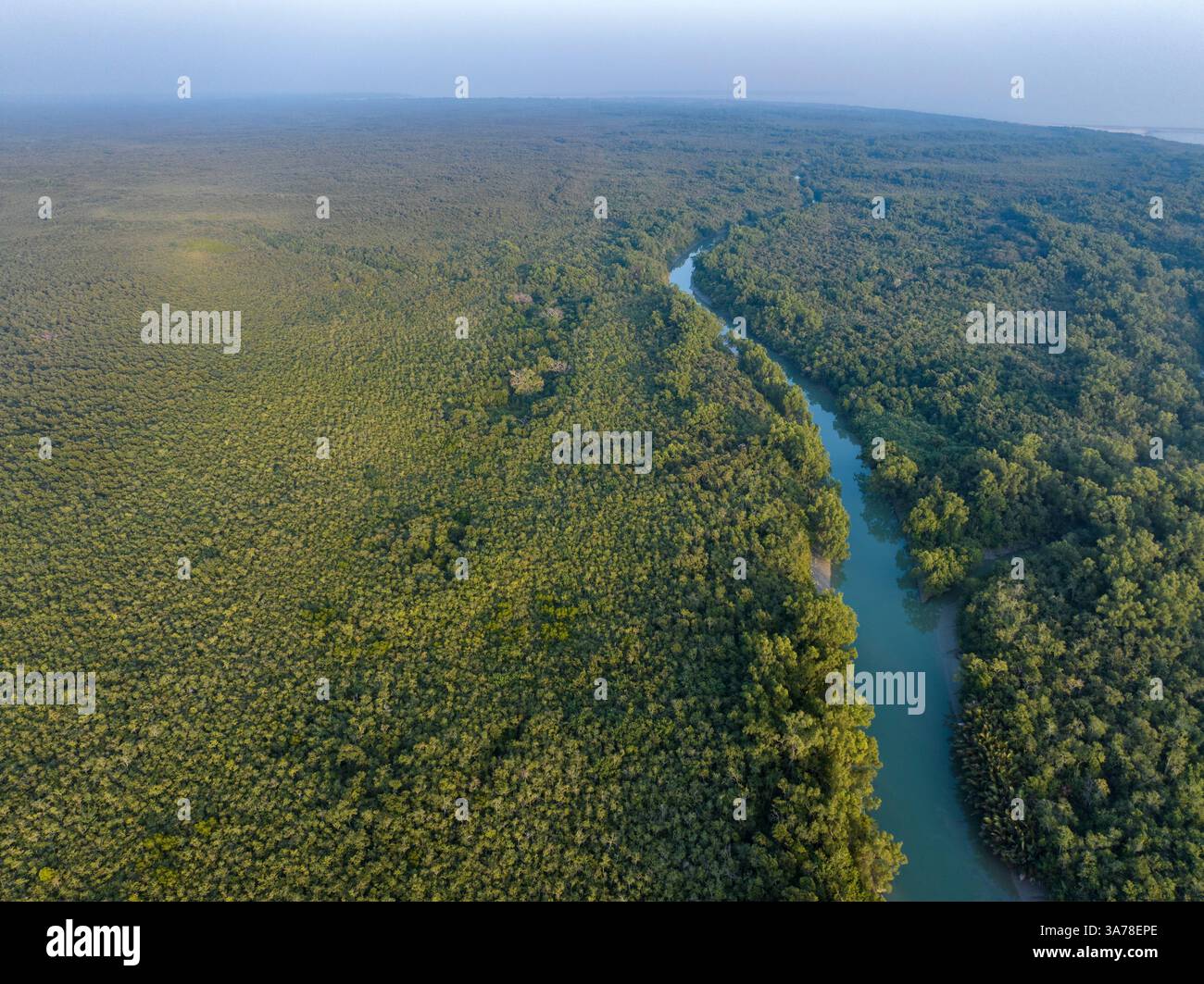 An aerial view of the Sundarbans, showcasing the world's largest ...