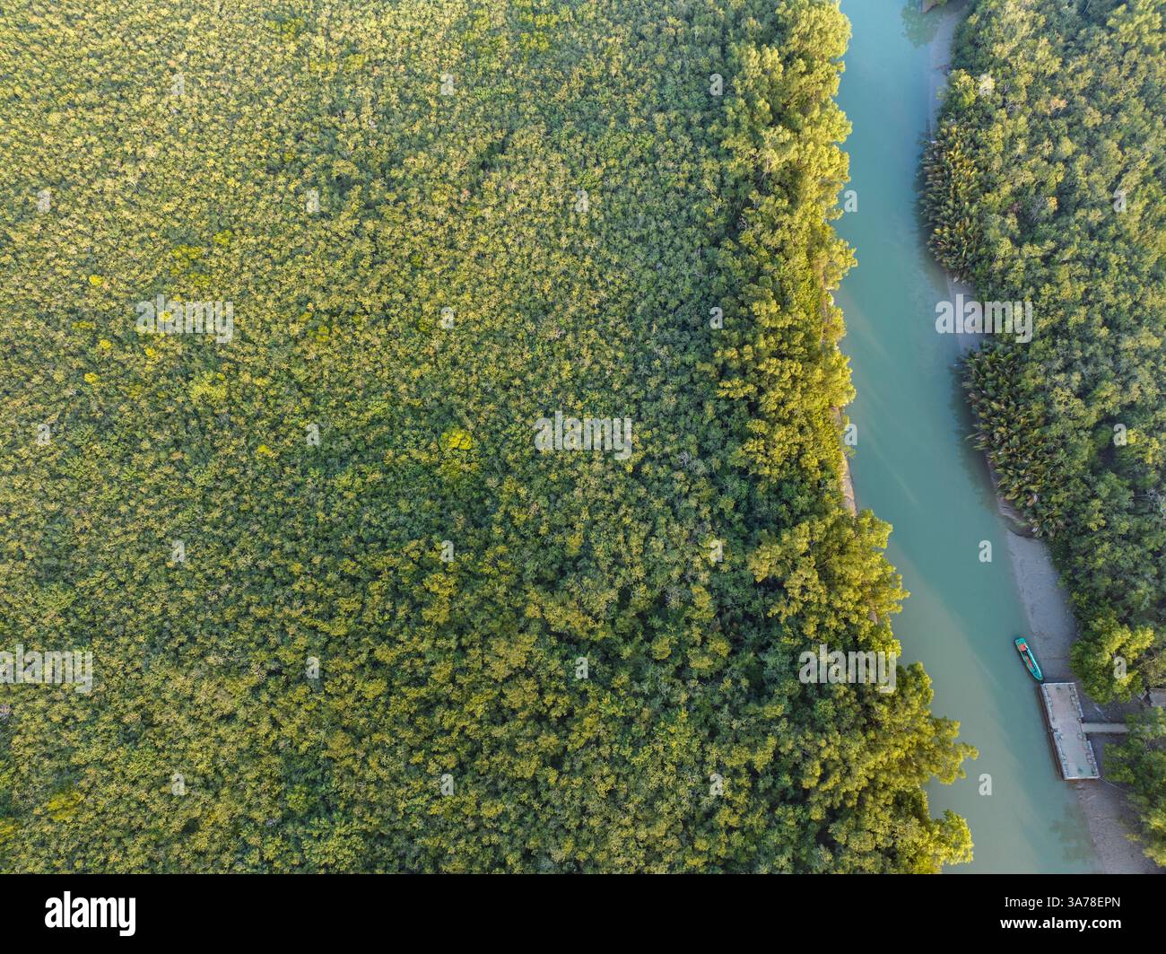 An aerial view of the Sundarbans, showcasing the world's largest ...