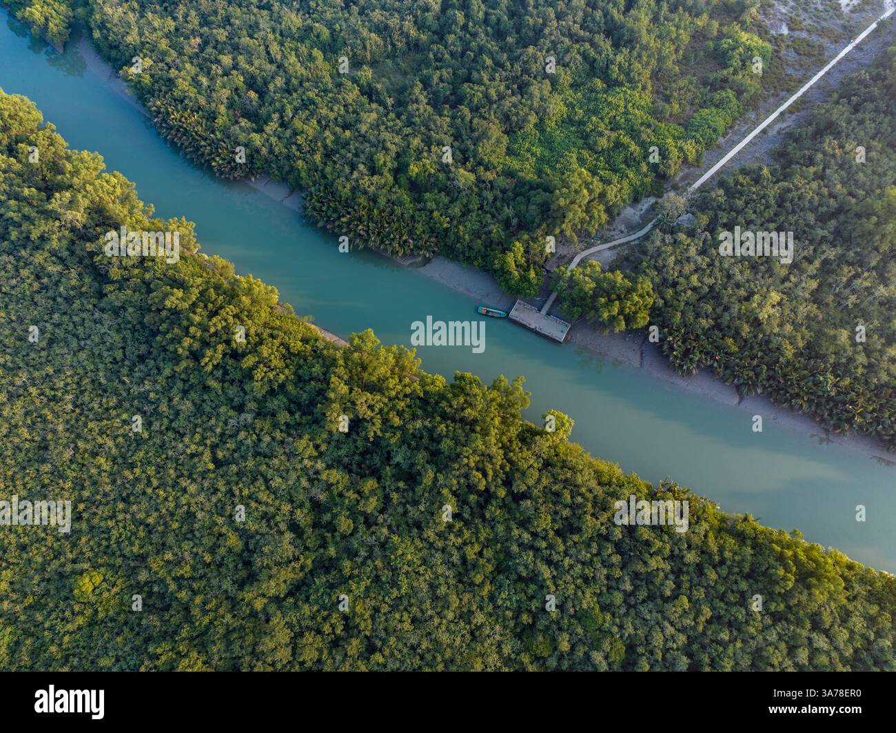 An aerial view of the Sundarbans, showcasing the world's largest ...