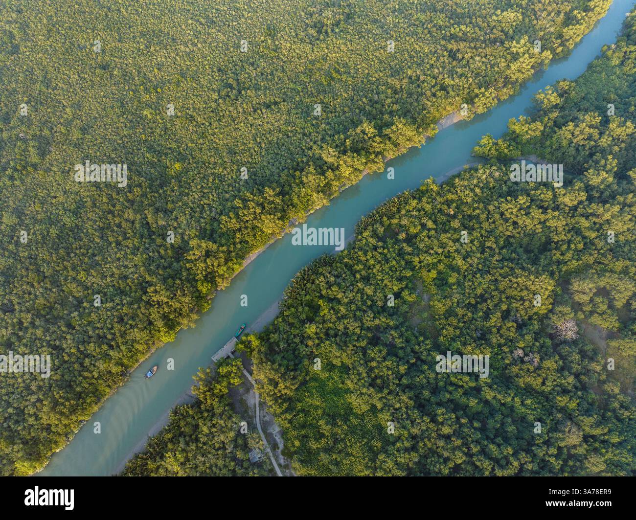 An aerial view of the Sundarbans, showcasing the world's largest ...