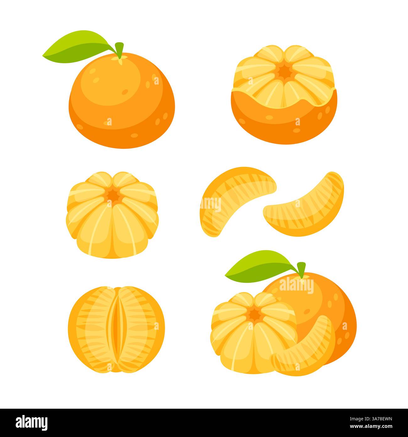 Fruit mandarin in cartoon Stock Vector Images - Alamy