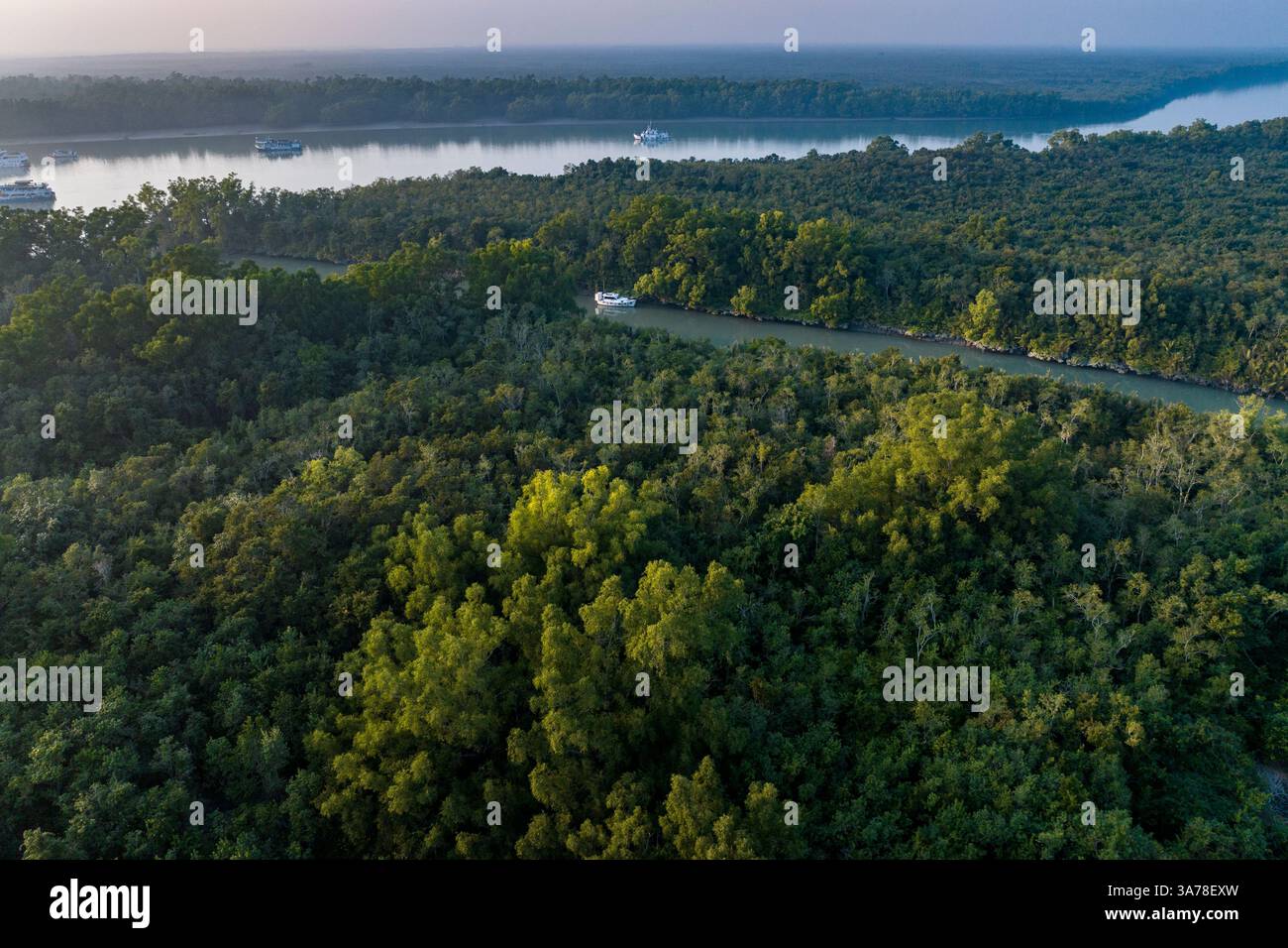 An aerial view of the Sundarbans, showcasing the world's largest ...