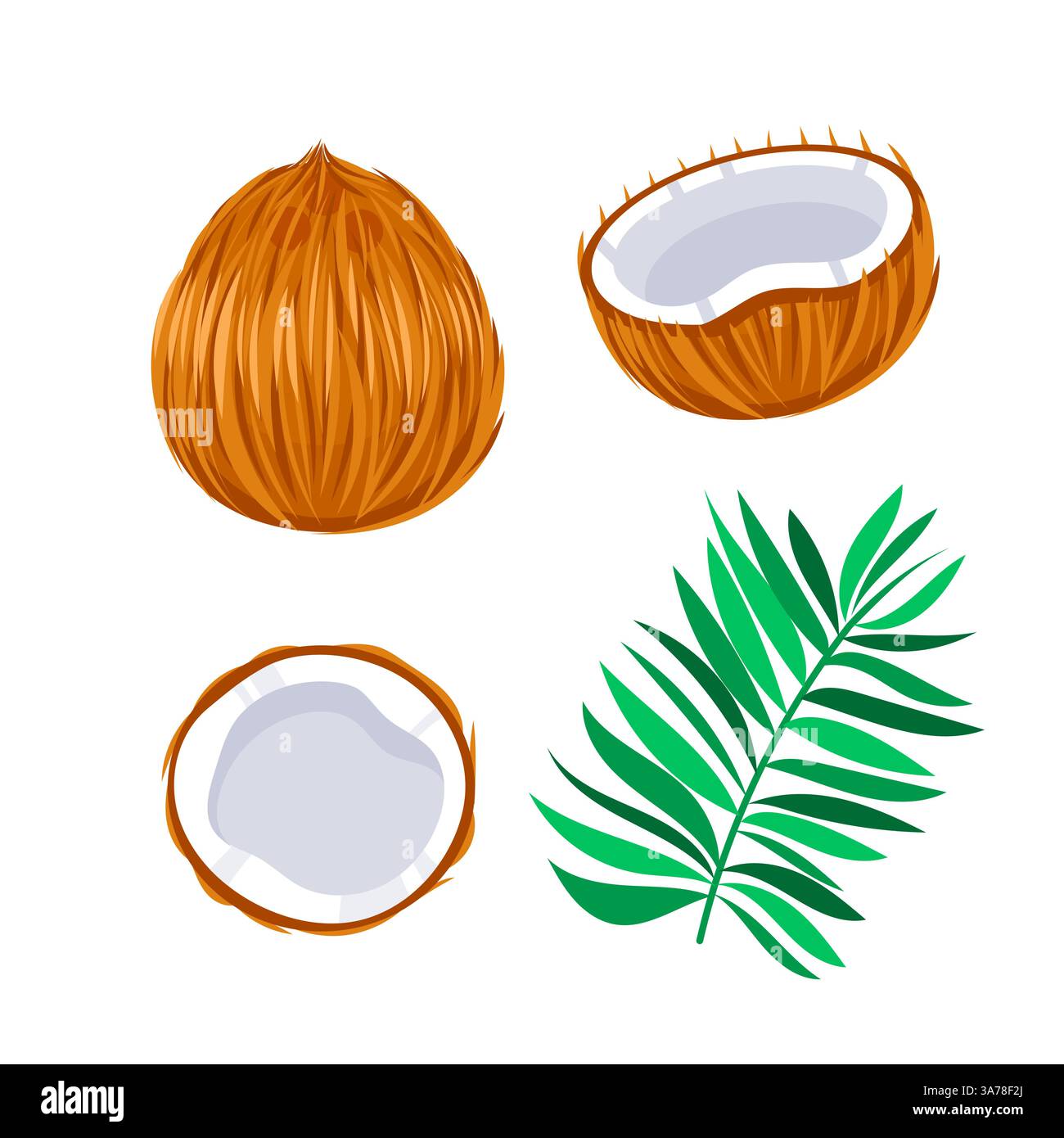 Coconuts with palm leaves. Whole and half cracked broken coco nut ...