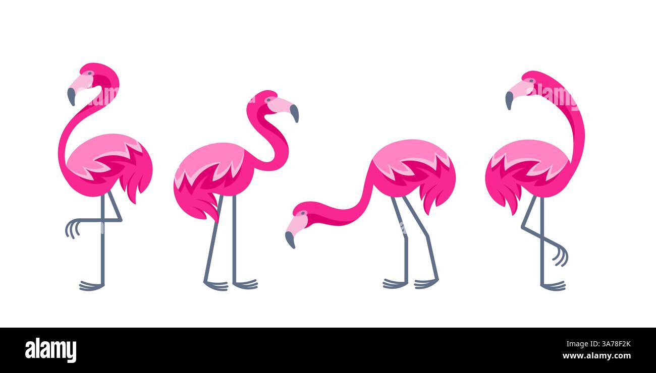 Set of pink flamingos standing in different poses, colorful ...