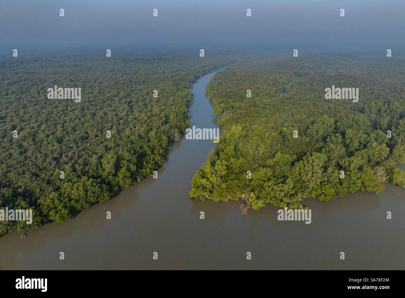 An aerial view of the Sundarbans on a foggy day, showcasing the world's ...