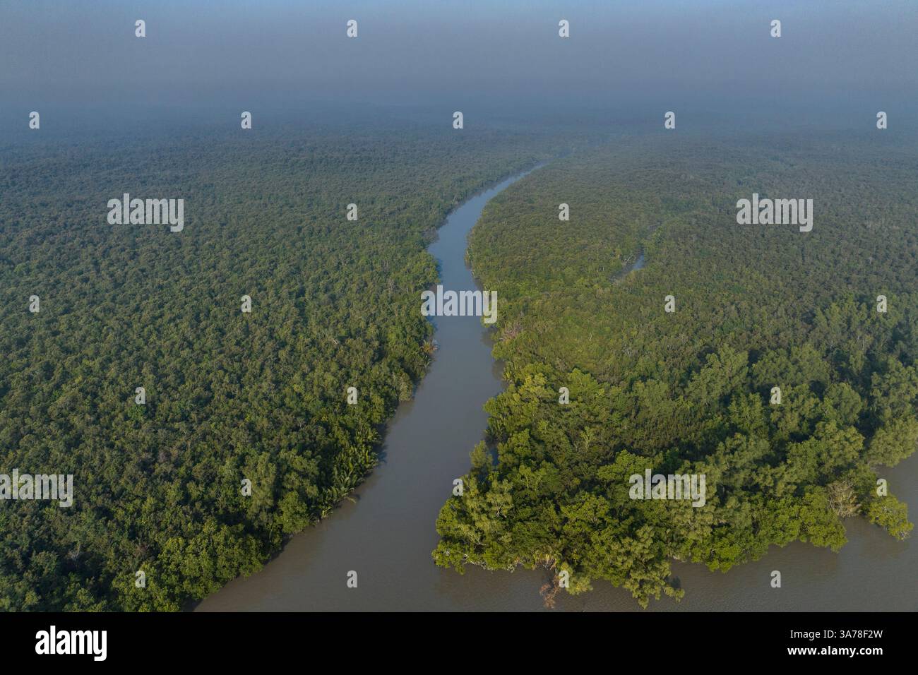 An aerial view of the Sundarbans, showcasing the world's largest ...