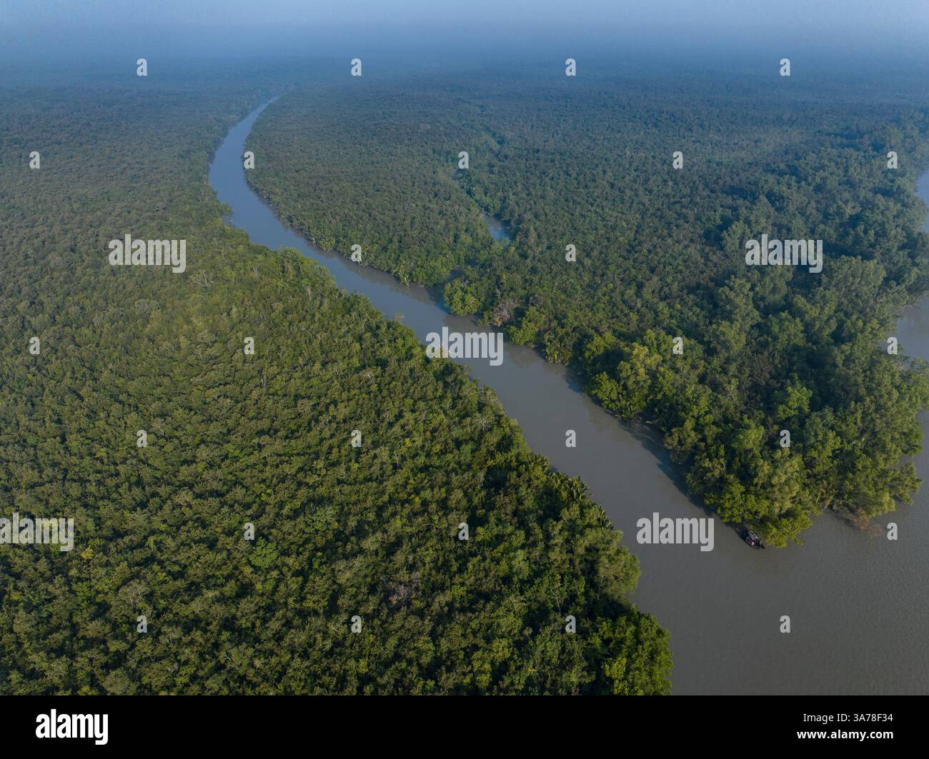 An aerial view of the Sundarbans, showcasing the world's largest ...