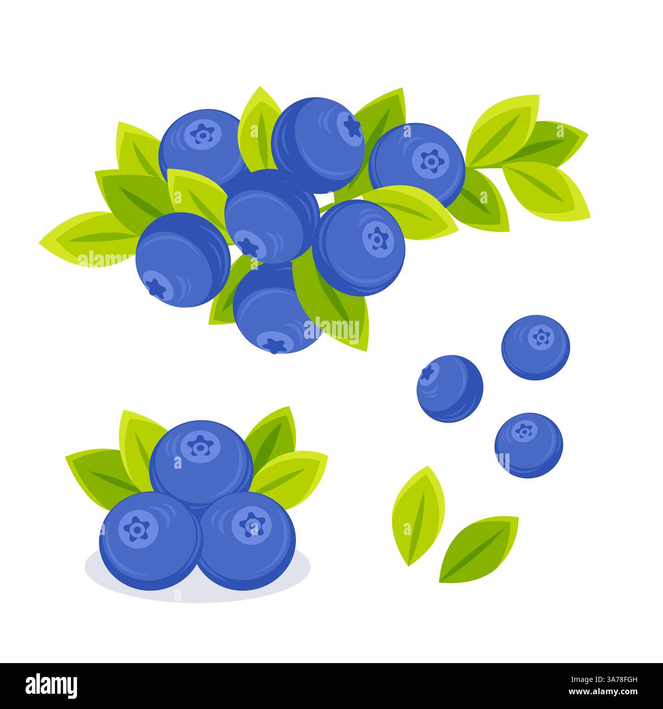 Ripe forest blueberries on Stock Vector Images - Alamy
