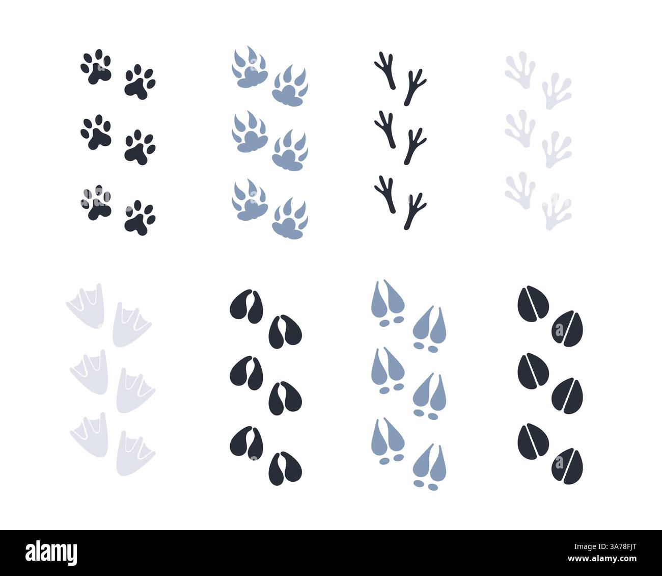 Animal and bird trace steps set. Animal tracks. Paw prints Stock Vector ...