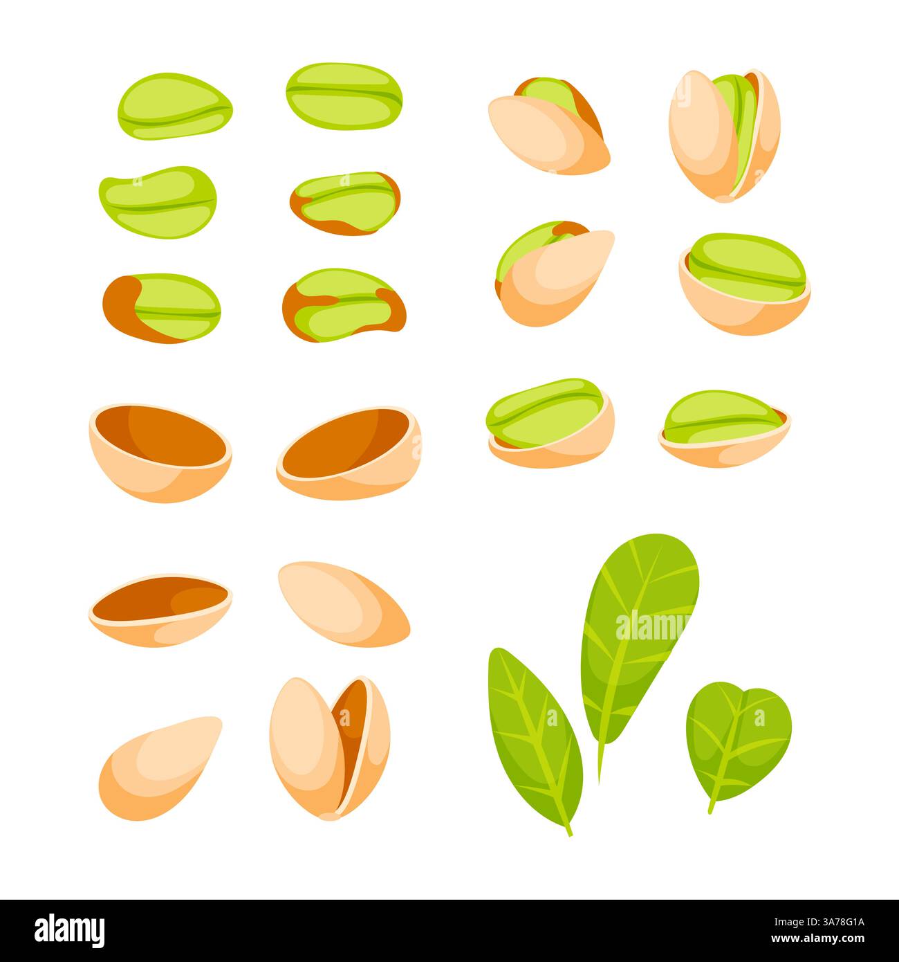 Set of pistachio nuts showing the stages of a pistachio cracking open ...