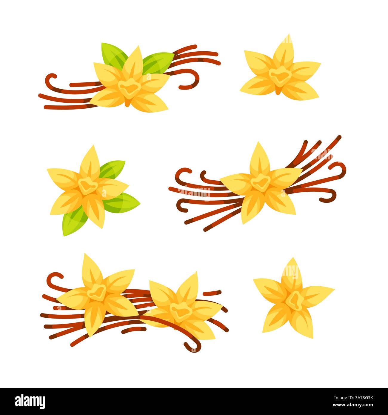 Set of illustrations featuring vanilla pods and vanilla flowers, ideal ...