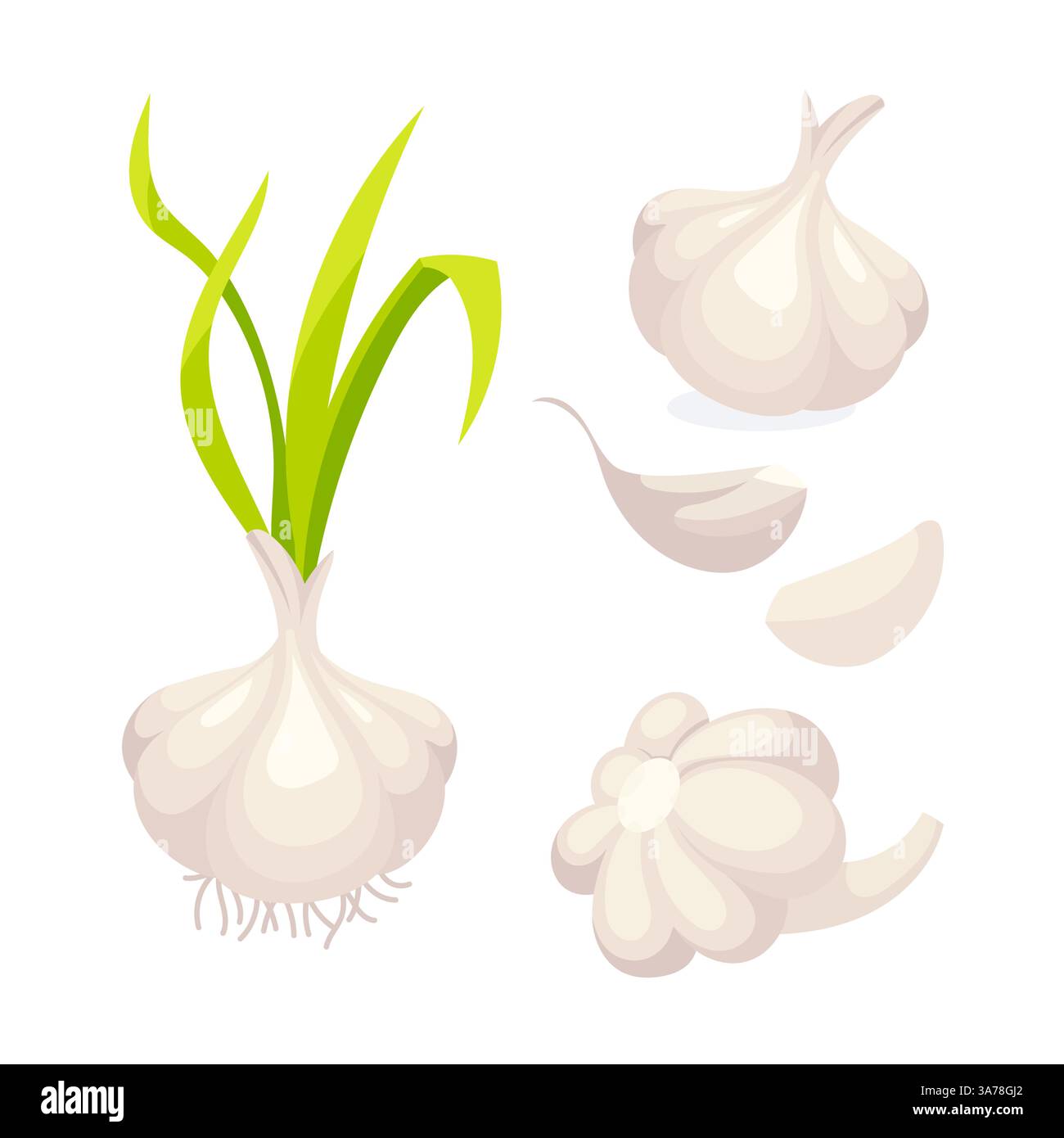 Featuring whole garlic bulbs with green stems, separated cloves, and ...