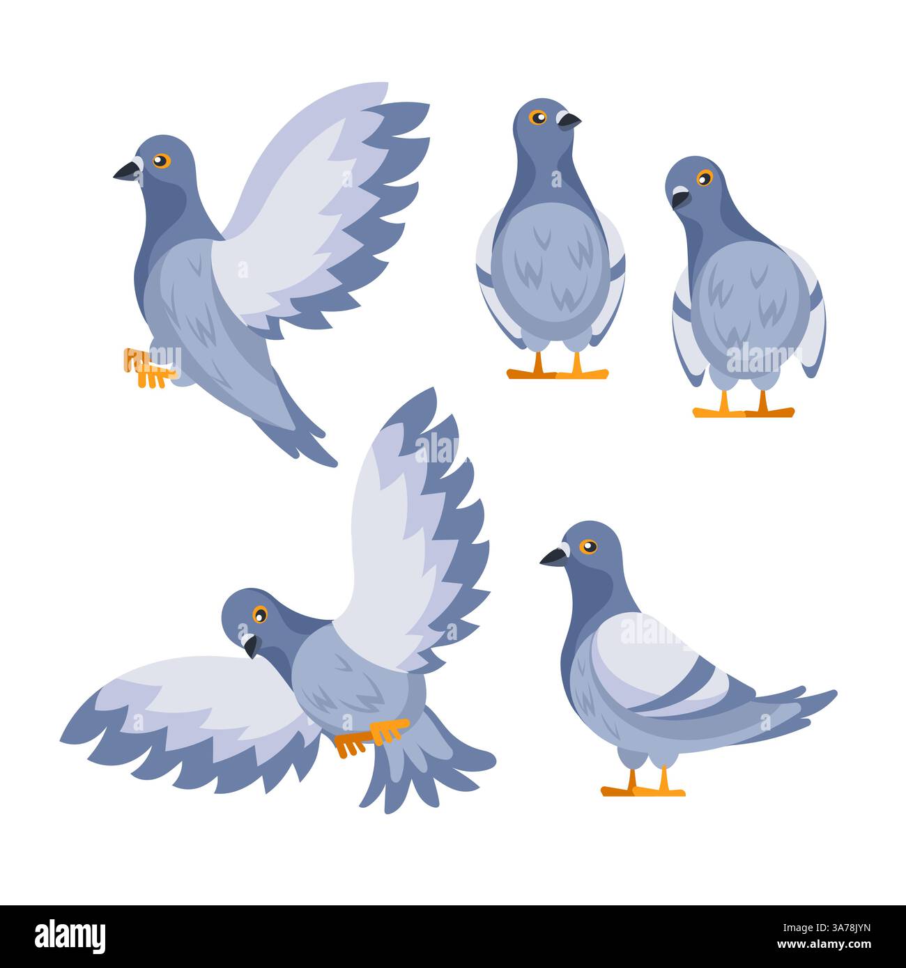 Set of pigeons standing and flying with spread wings Stock Vector Image ...