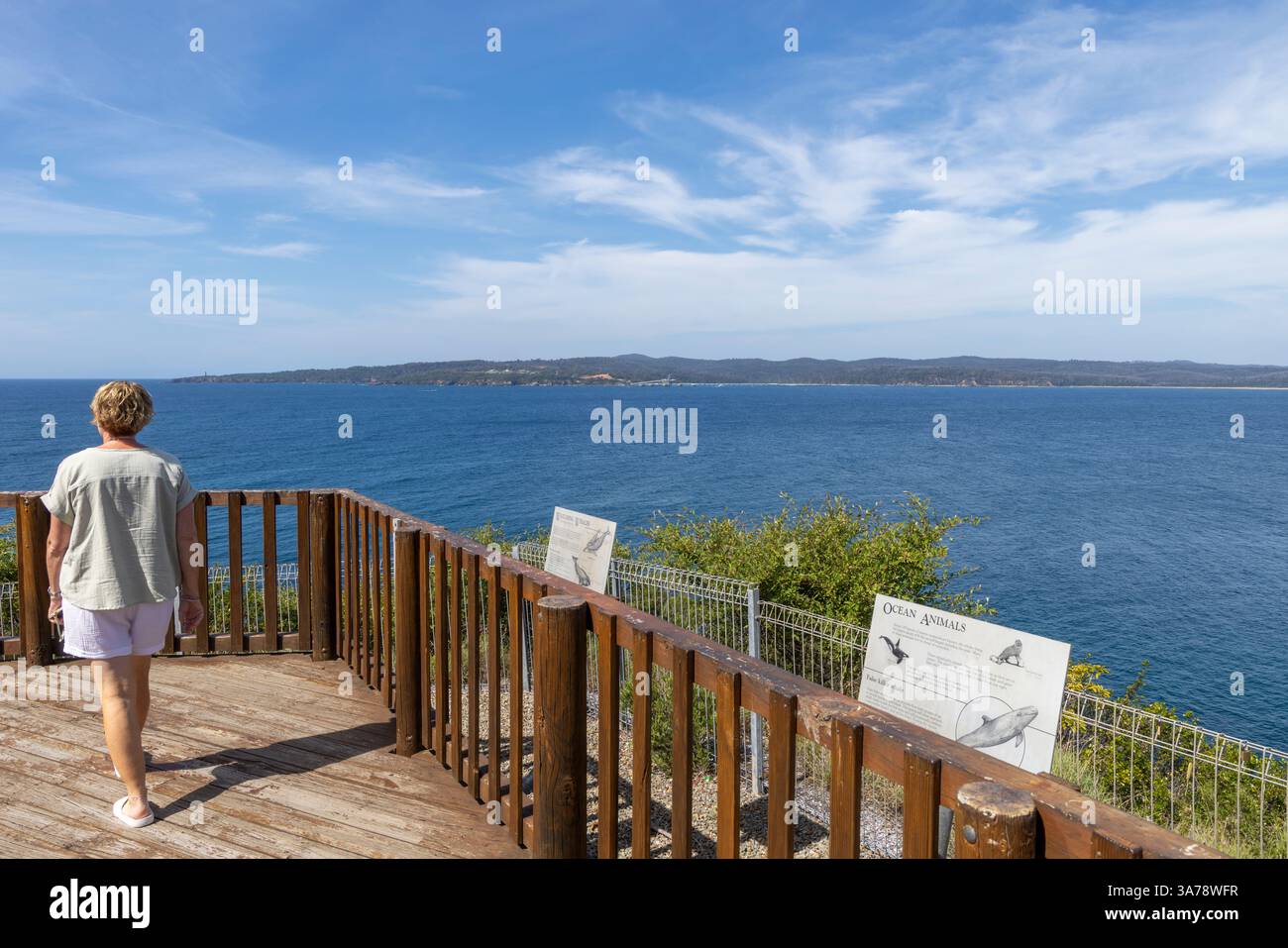 Eden lookout Rotary park, model released woman enjoys the view across ...