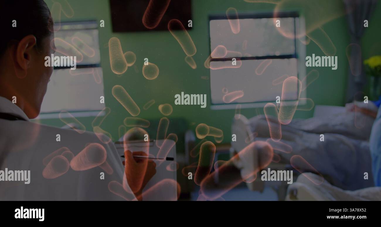 Multiple blood vessels floating against caucasian female doctor walking ...