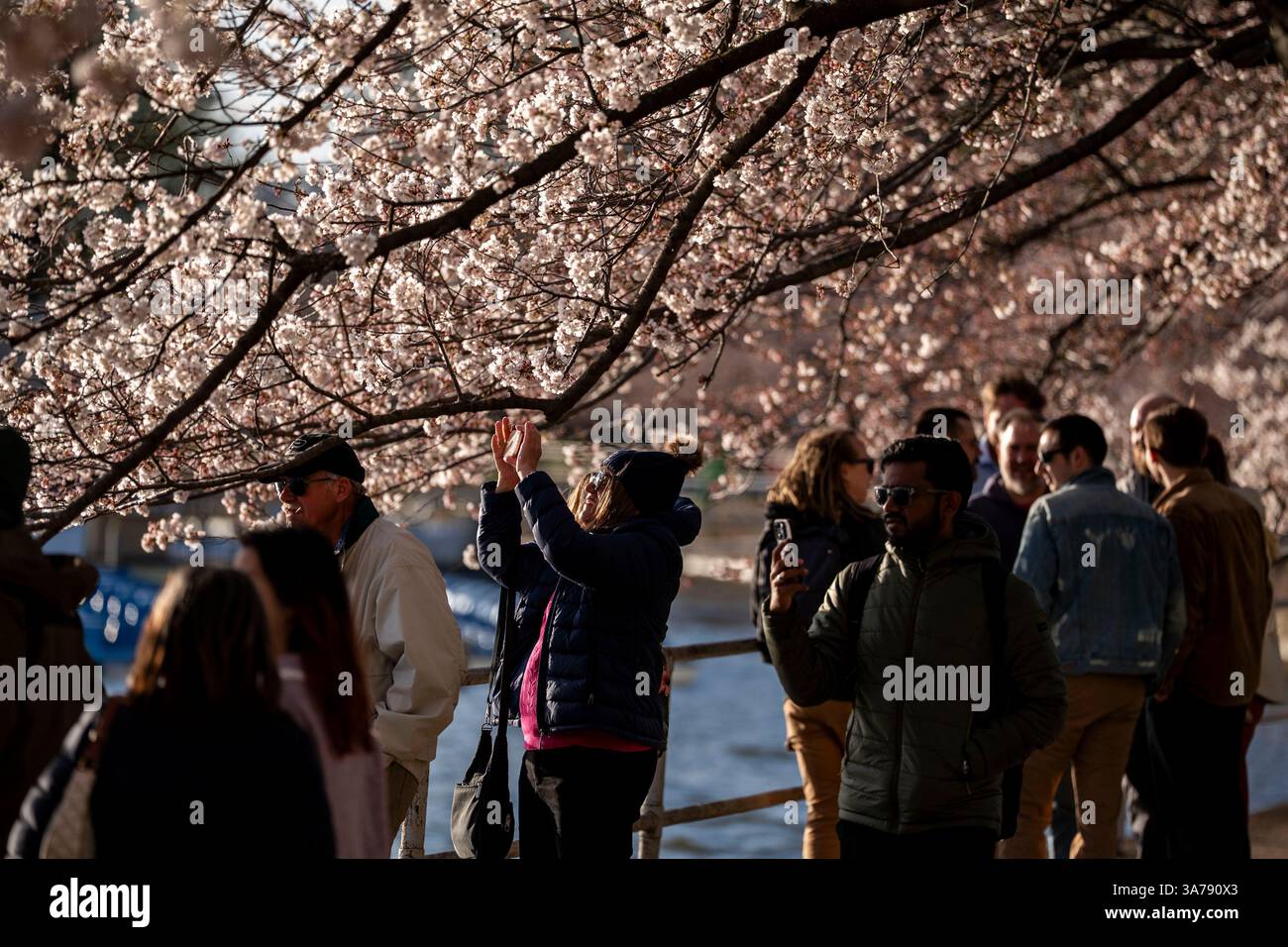 Washington, United States. 26th Mar, 2025. People take photos of the ...