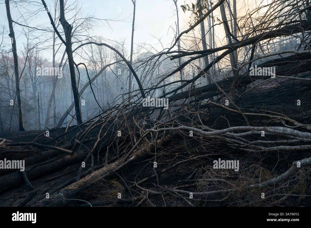Smoldering remains of Hurricane Helene debris that caught fire are seen ...