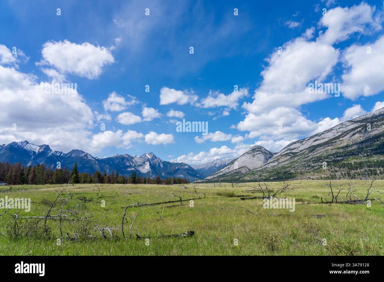 Majestic Mountain Landscape in Jasper National Park, Alberta, Canada ...