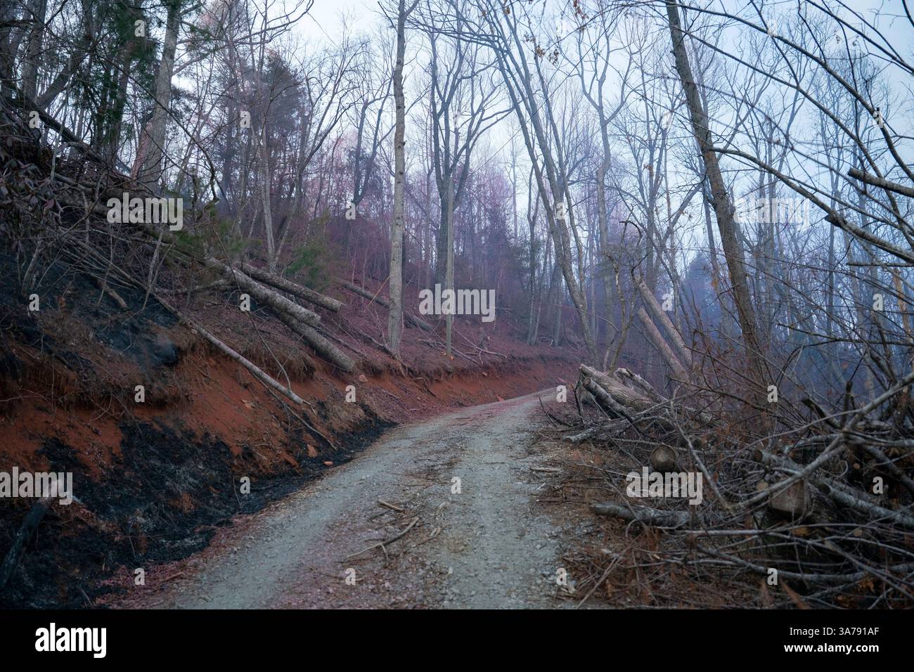 Smoldering remains of Hurricane Helene debris that were covered in fire ...