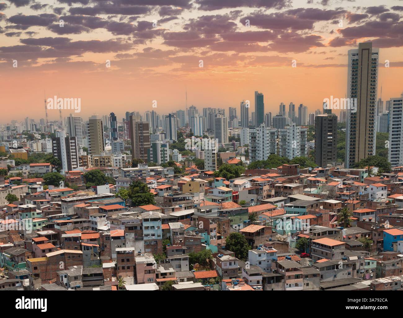 Urban contrast. Favela and modern skyscrapers at sunset highlighting ...
