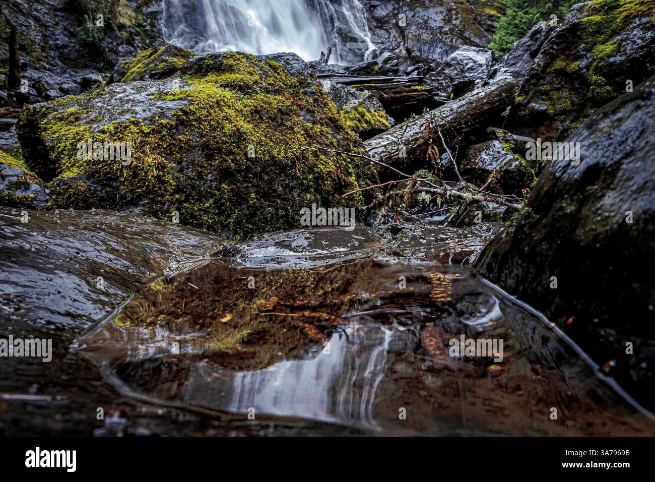 March 26, 2025, Brinnon, Washington, United States of America: The 200 ...