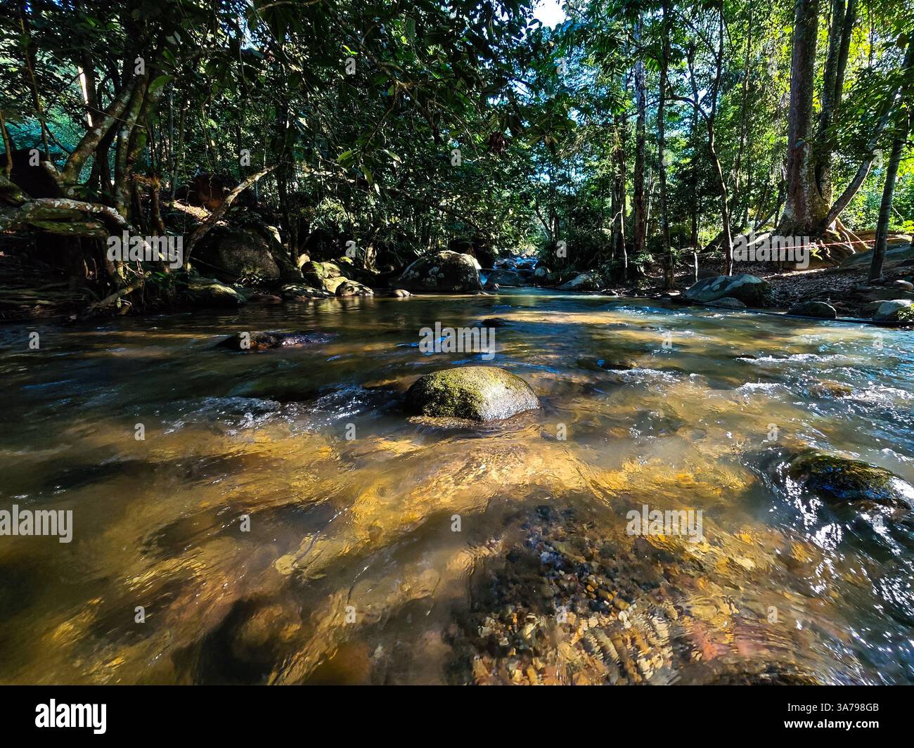 Tropical river in Malaysia Stock Photo - Alamy