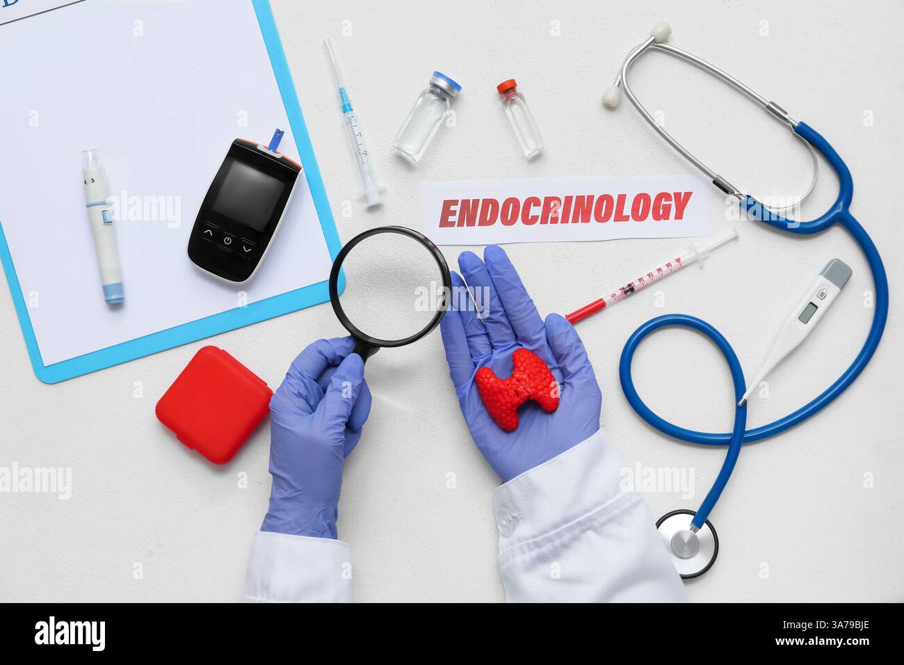 Doctor holding magnifier with thyroid gland model and word ...