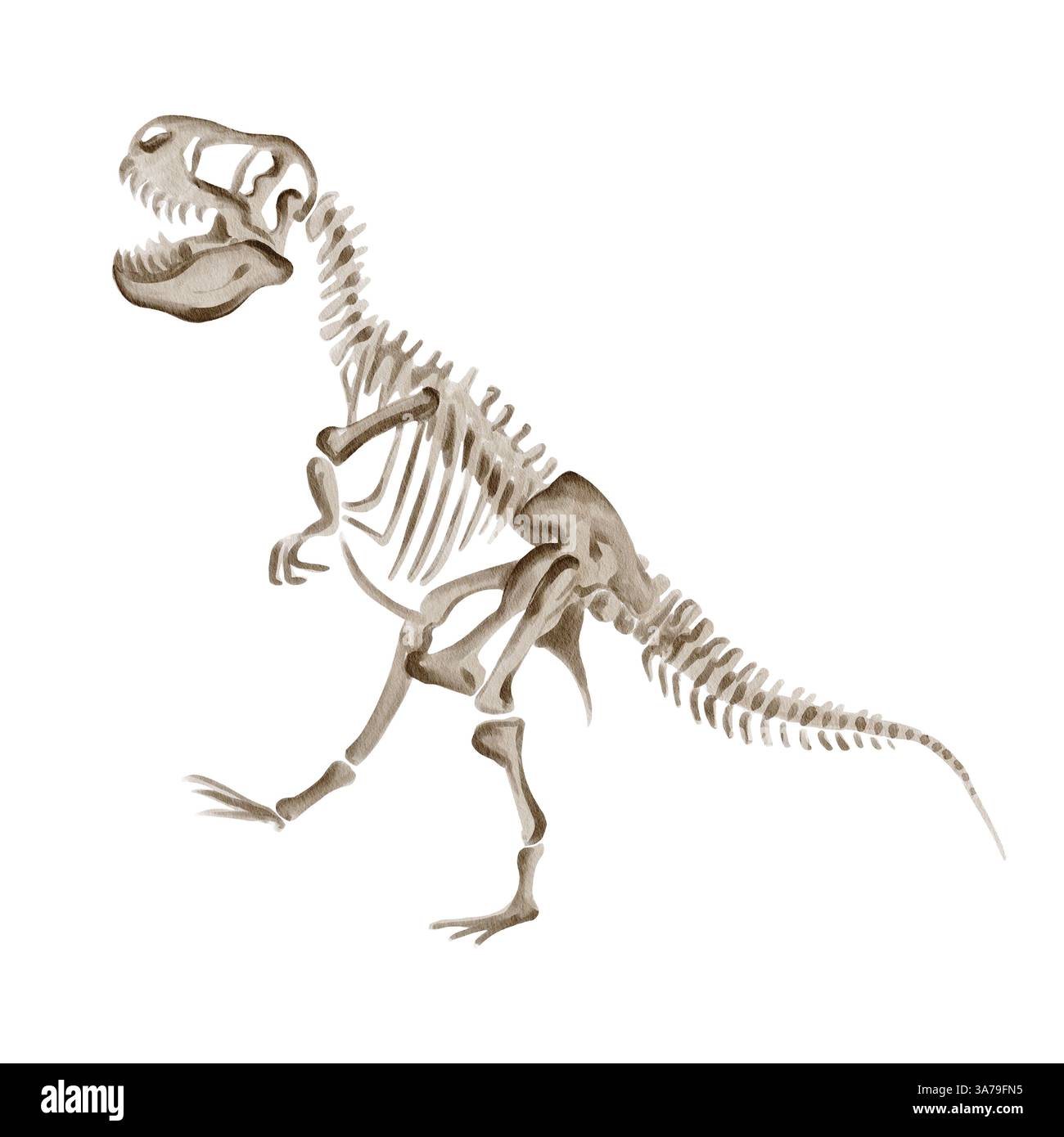 Dinosaur rex. Theranosaurus skeleton. Ancient fossil. Museum exhibit ...