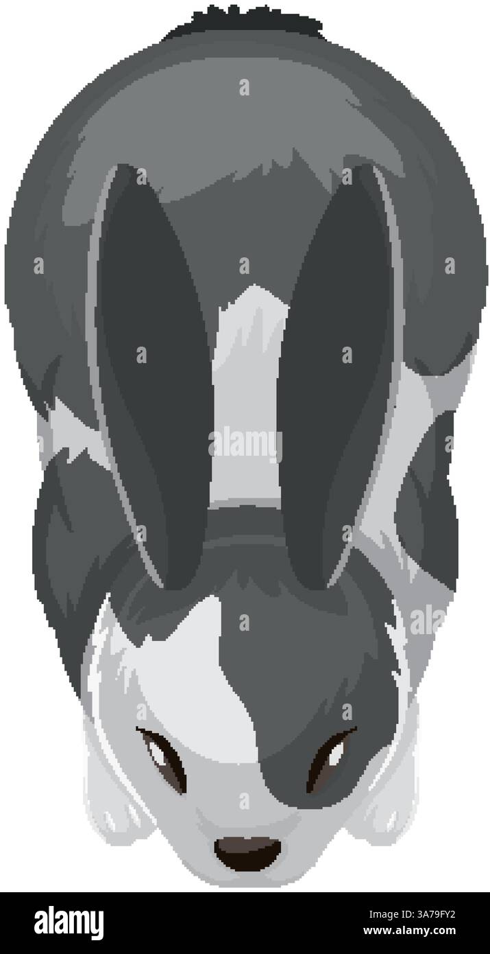 Illustration of a rabbit from above, gray and white Stock Vector Image ...