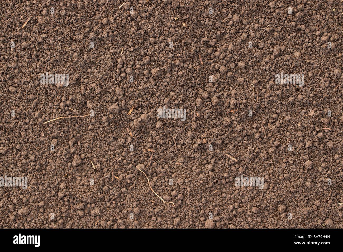 natural black earth on a garden bed, loose humus background Stock Photo ...
