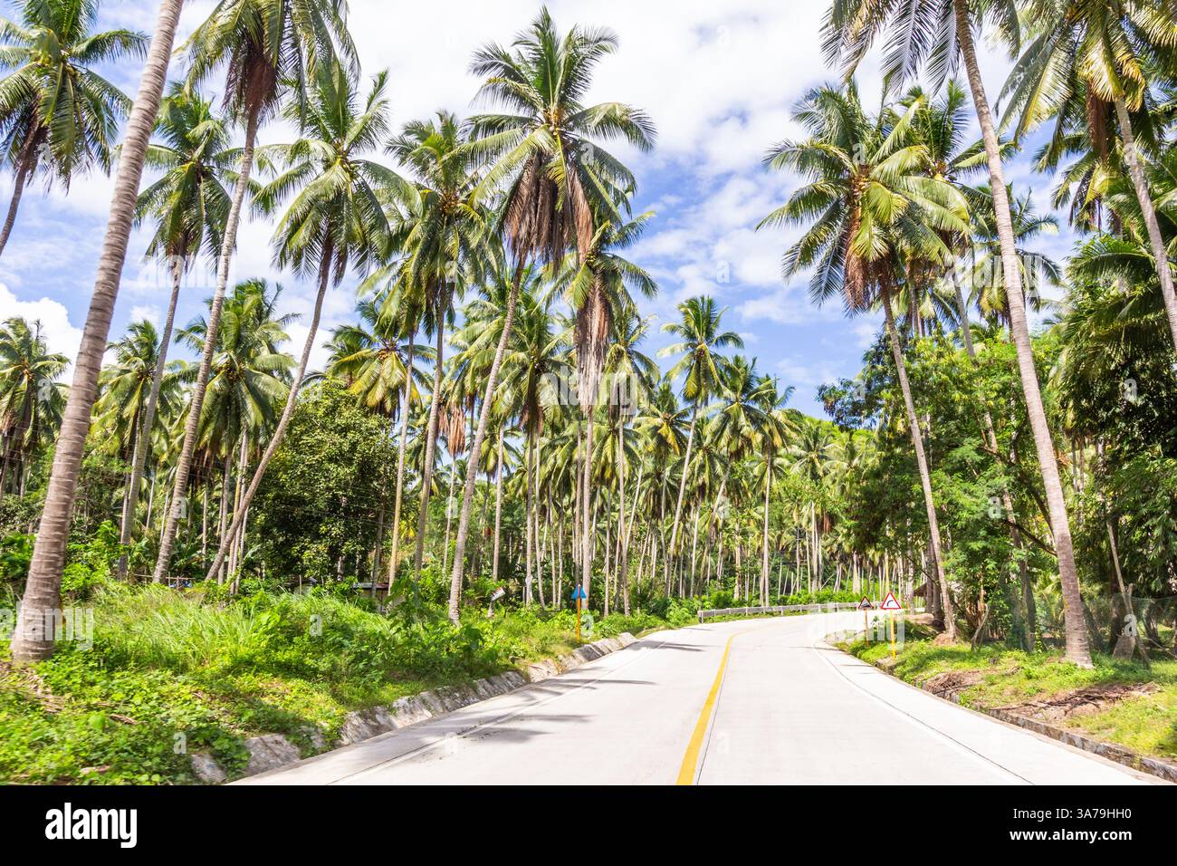 Cutting paved asphalt road hi-res stock photography and images - Alamy