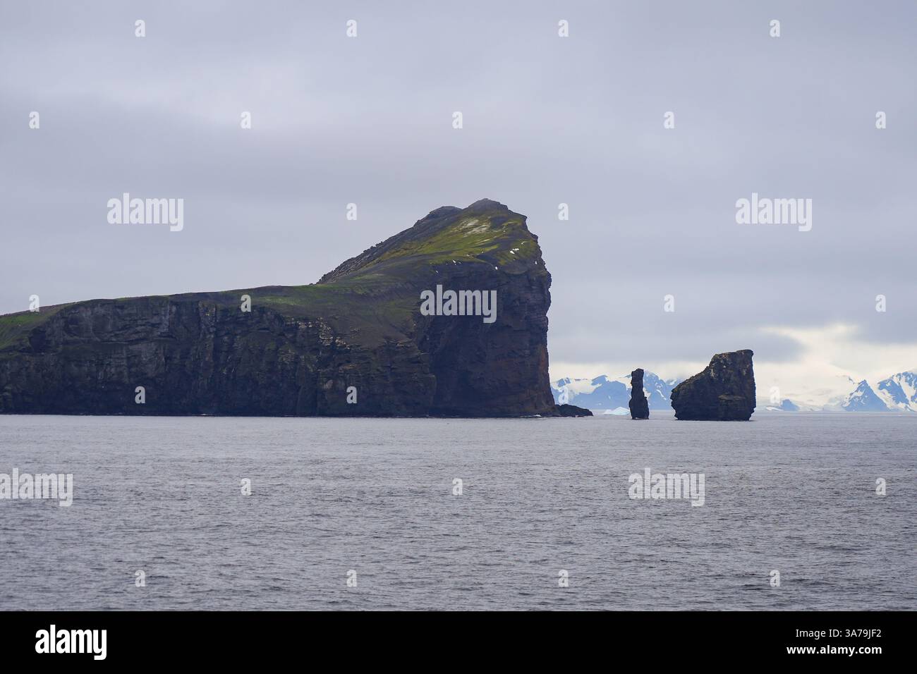 Sewing-machine needles next to Baily Head on Deception Island, an ...