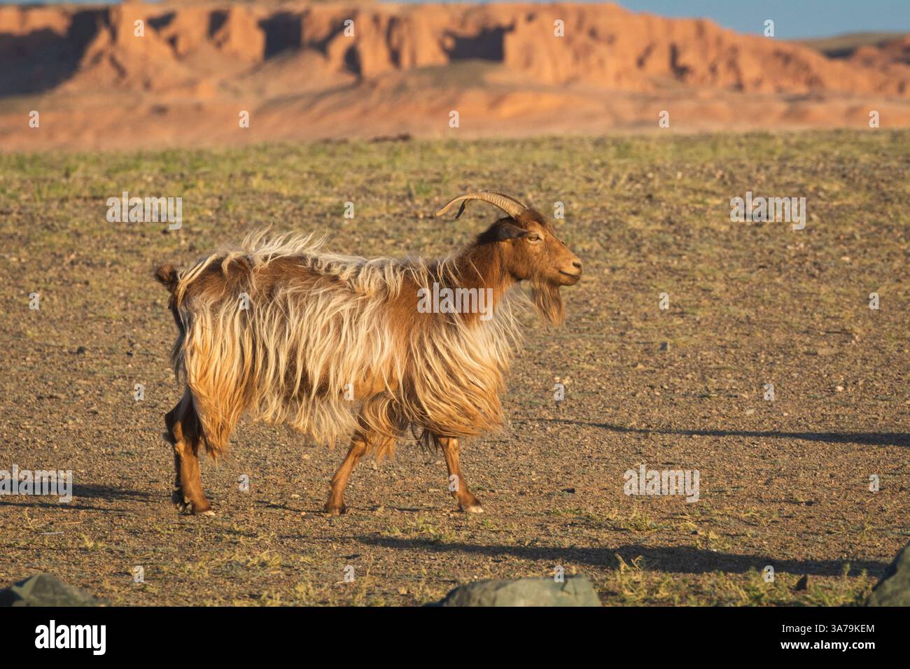 Semi arid terrain hi-res stock photography and images - Alamy