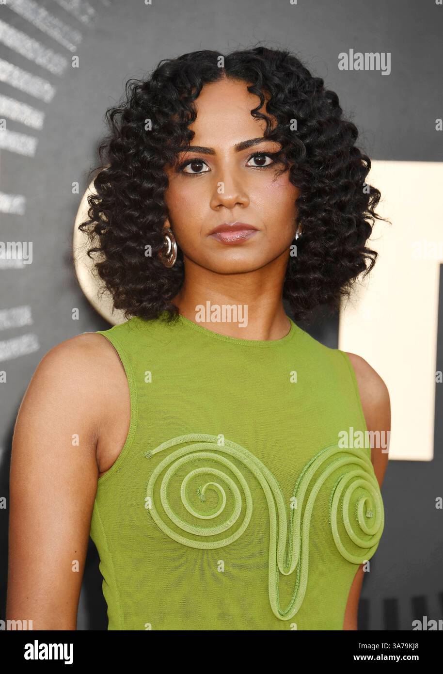 LOS ANGELES, CALIFORNIA - MARCH 24: Creator/writer Frida Perez attends ...