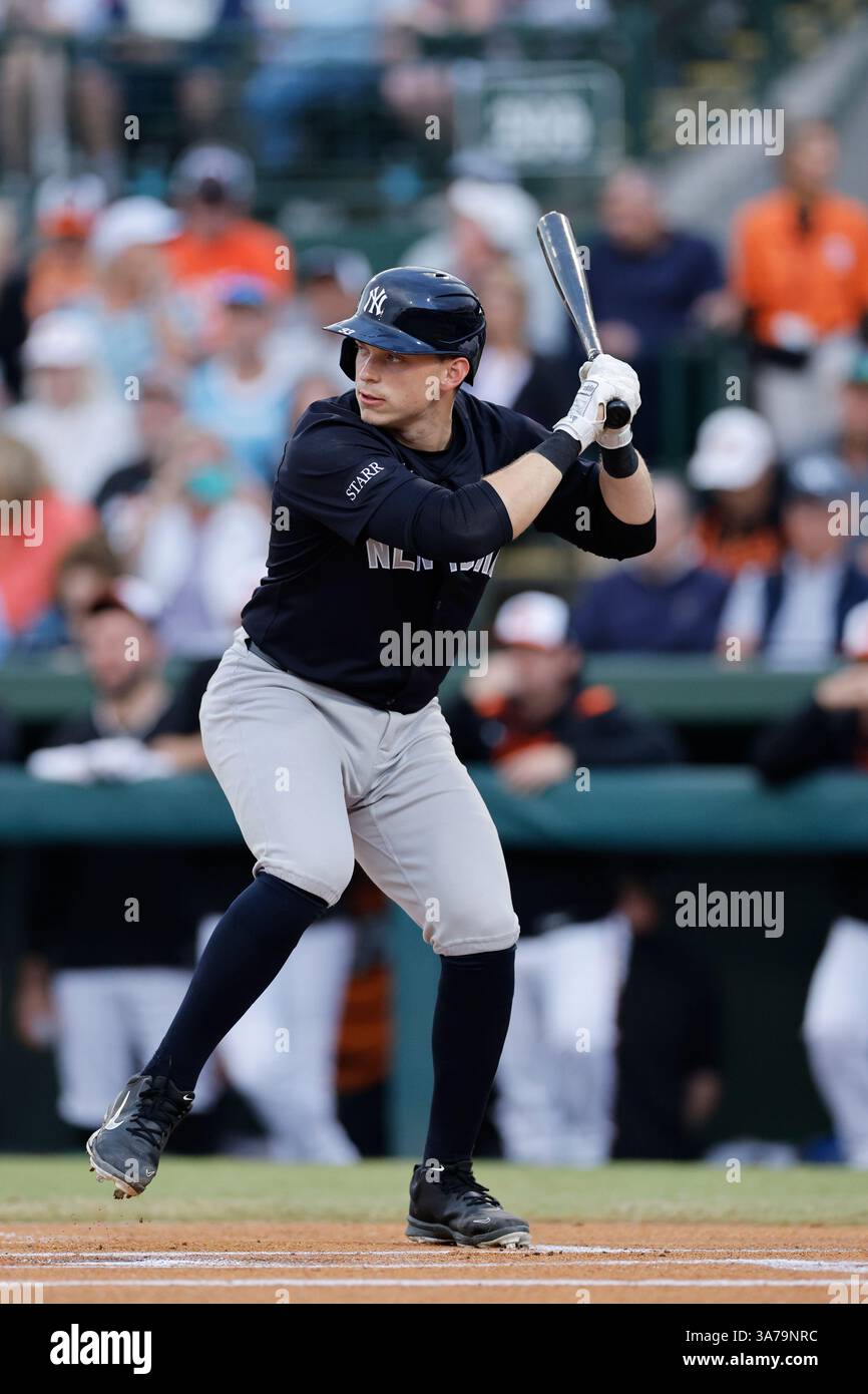 SARASOTA, FL - MARCH 20: New York Yankees catcher Ben Rice (93) bats ...