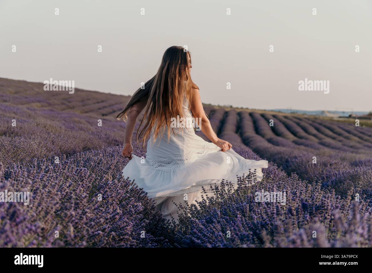 Lavender Fields Woman Dress Provence: Sunset stroll through purple flowers, summer romance Stock ...