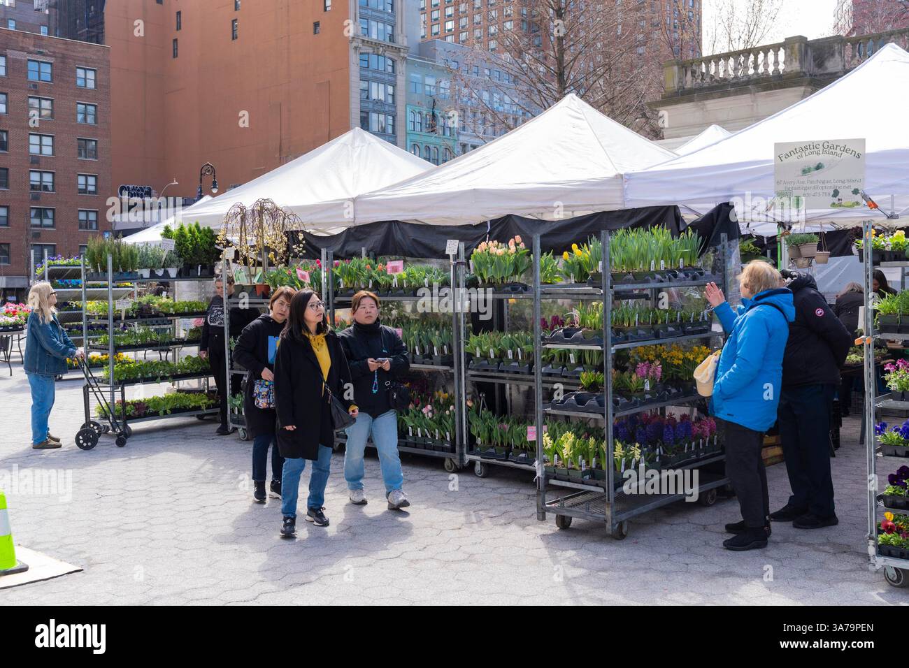 March 26, 2025, New York, New York, USA: Daily life in New York City as ...