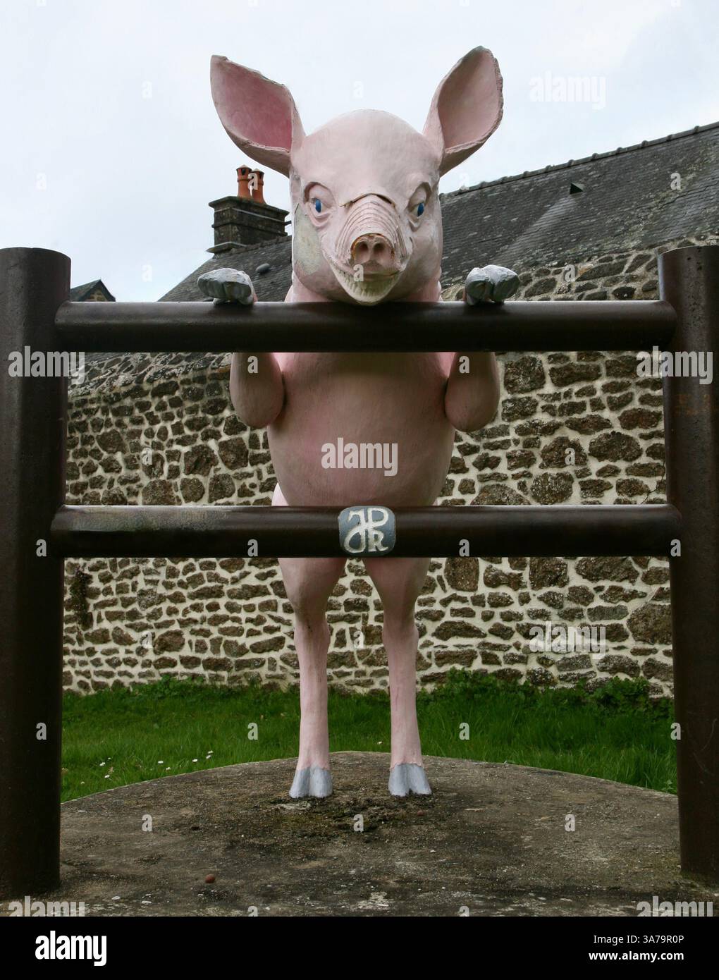 Clever little pig hi-res stock photography and images - Alamy